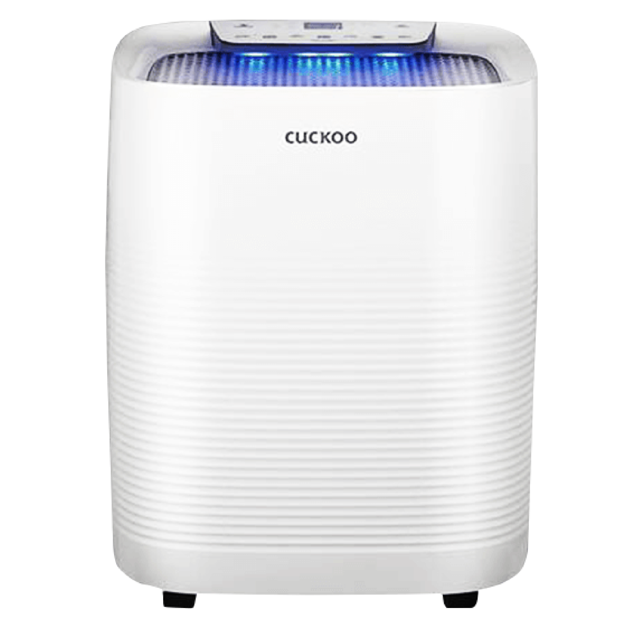 C Model - CUCKOO Brunei